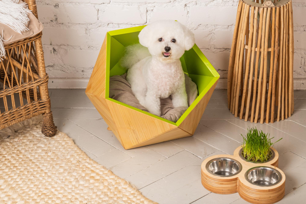 Niche pour chien : guide complet pour choisir la meilleure niche ...